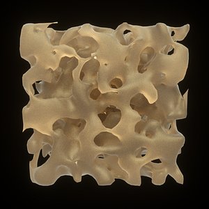 3D Bone Sponge Structure - TurboSquid 1758582