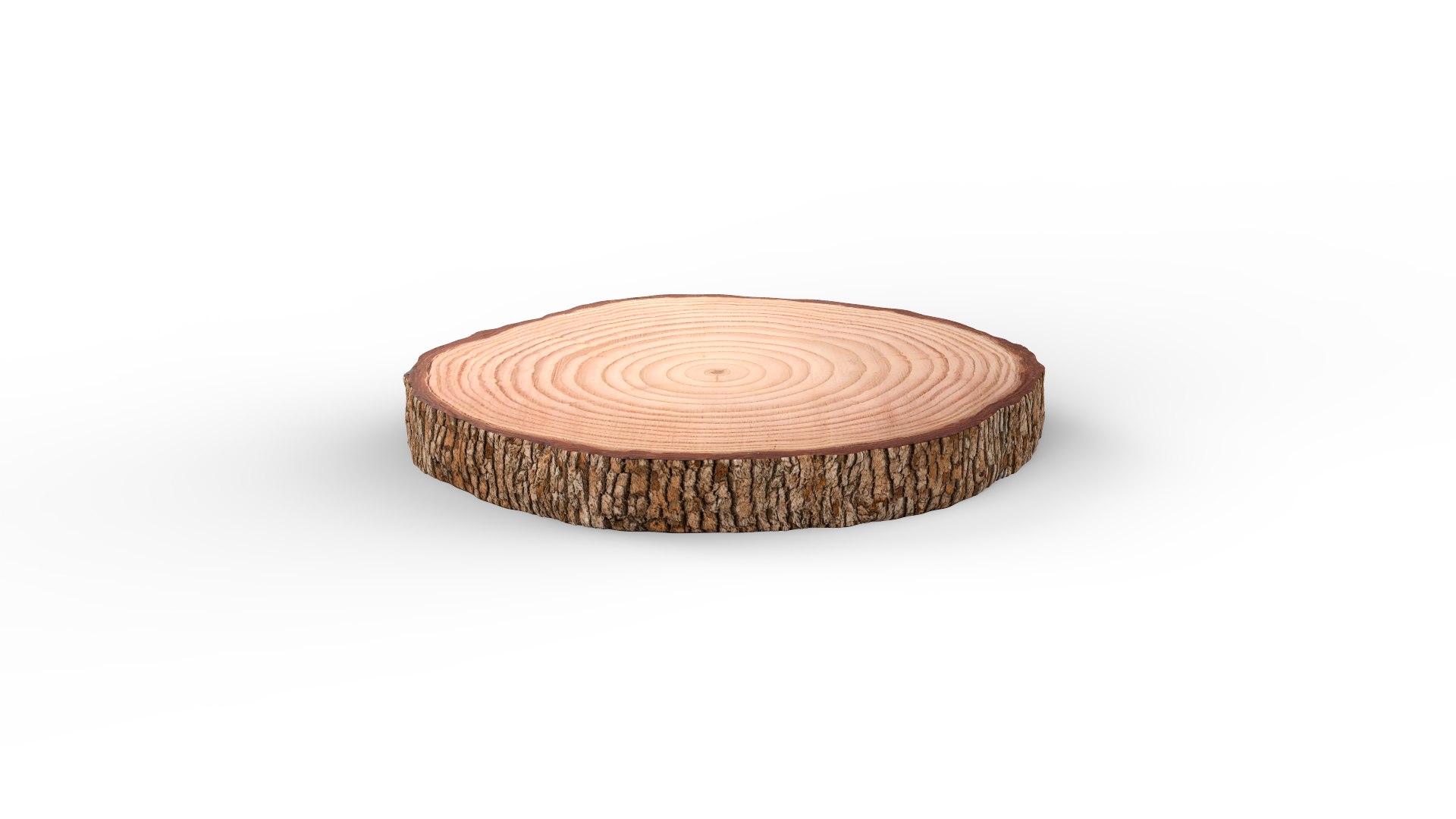 Tree Trunk Ring Section Slice 3D Model - TurboSquid 2304777