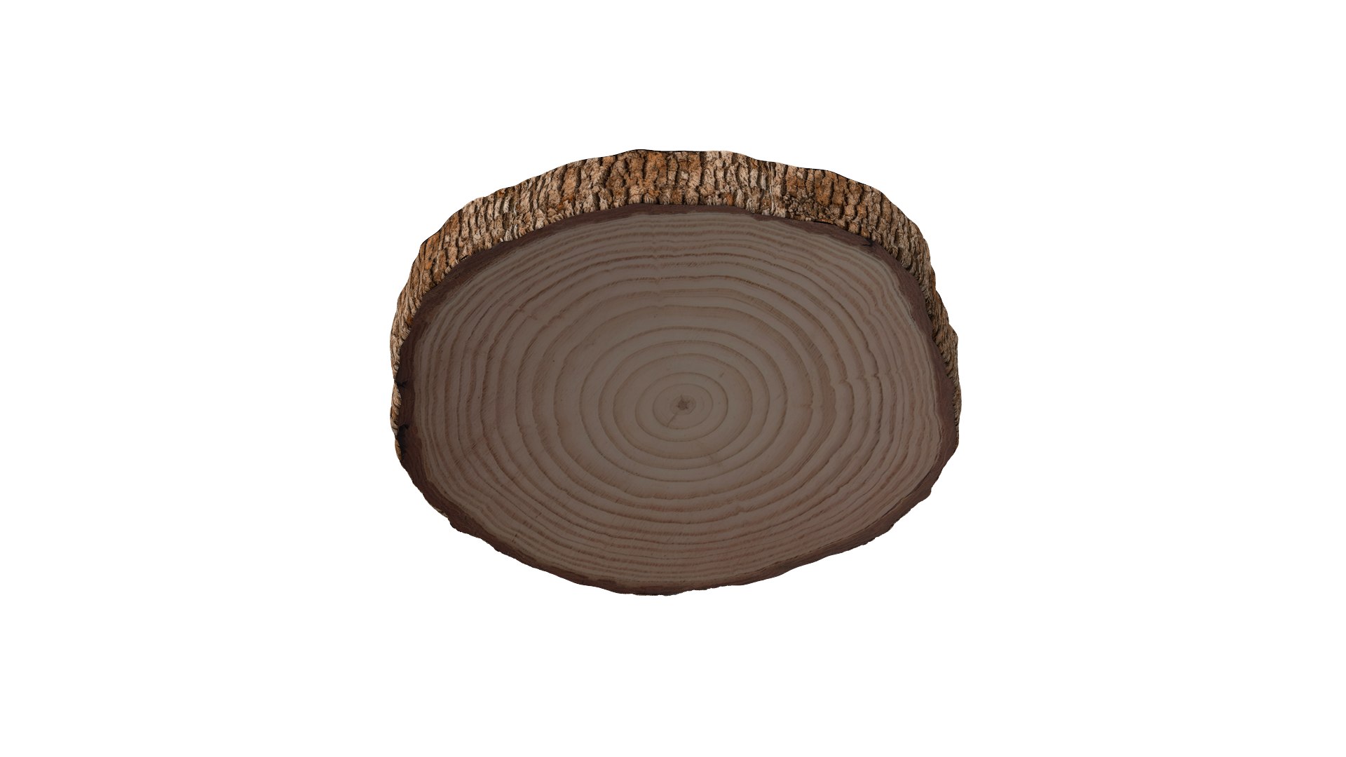 Tree Trunk Ring Section Slice 3D Model - TurboSquid 2304777