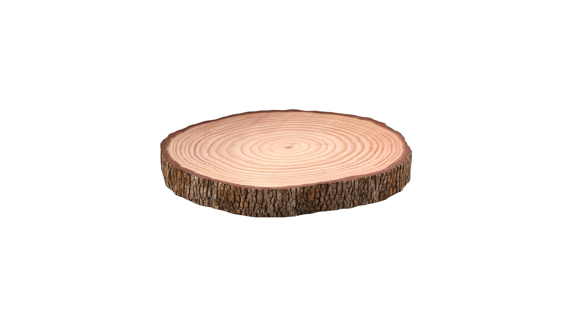 Tree Trunk Ring Section Slice 3D Model - TurboSquid 2304777