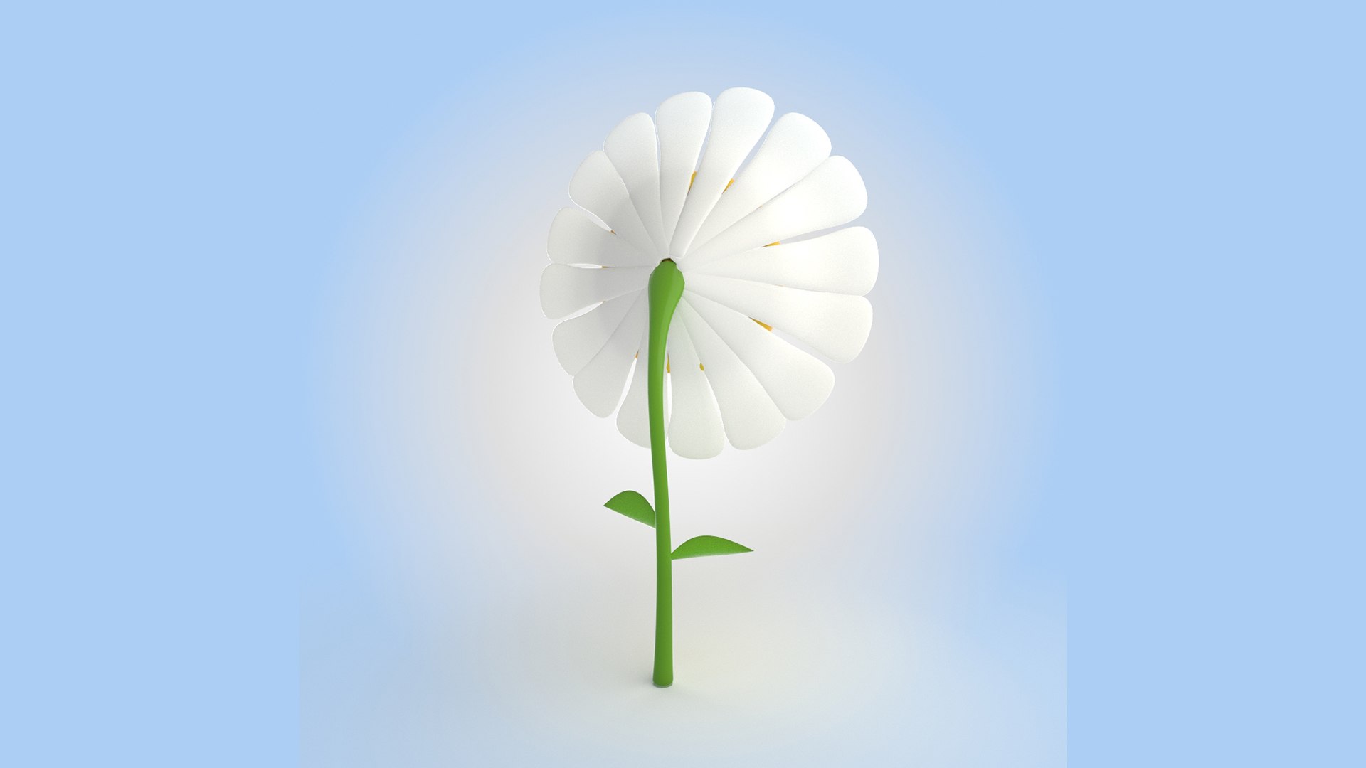 3D Daisy flower - TurboSquid 2146701