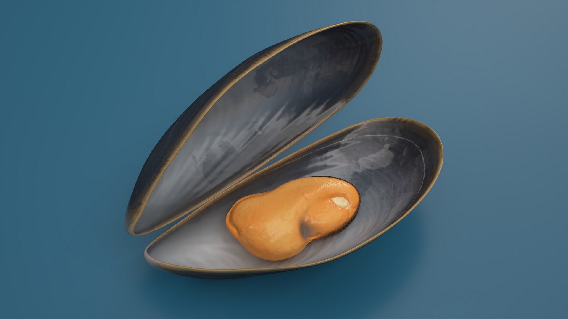 3D Open Cooked Mussel Model - TurboSquid 2279689