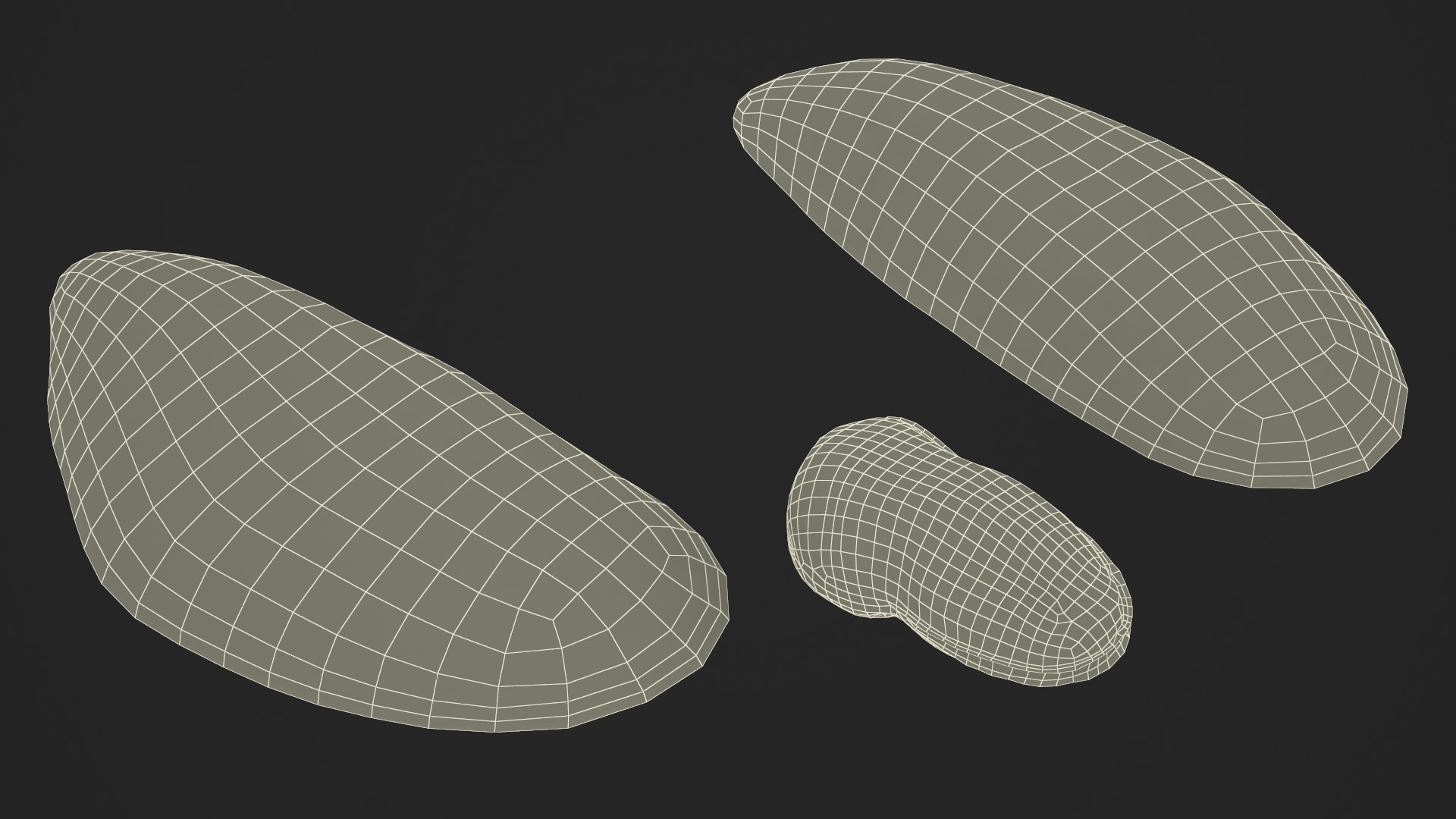 3D Open Cooked Mussel Model - TurboSquid 2279689