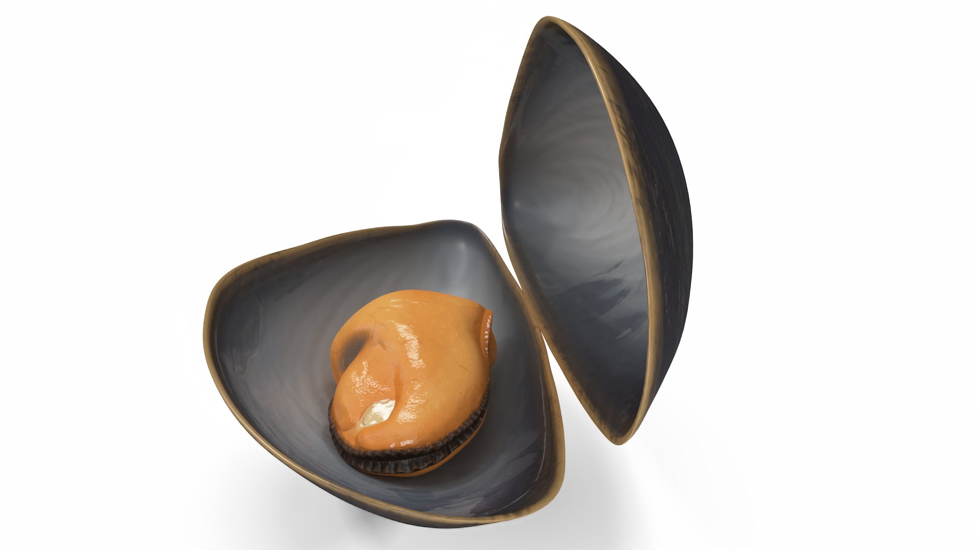 3D Open Cooked Mussel Model - TurboSquid 2279689
