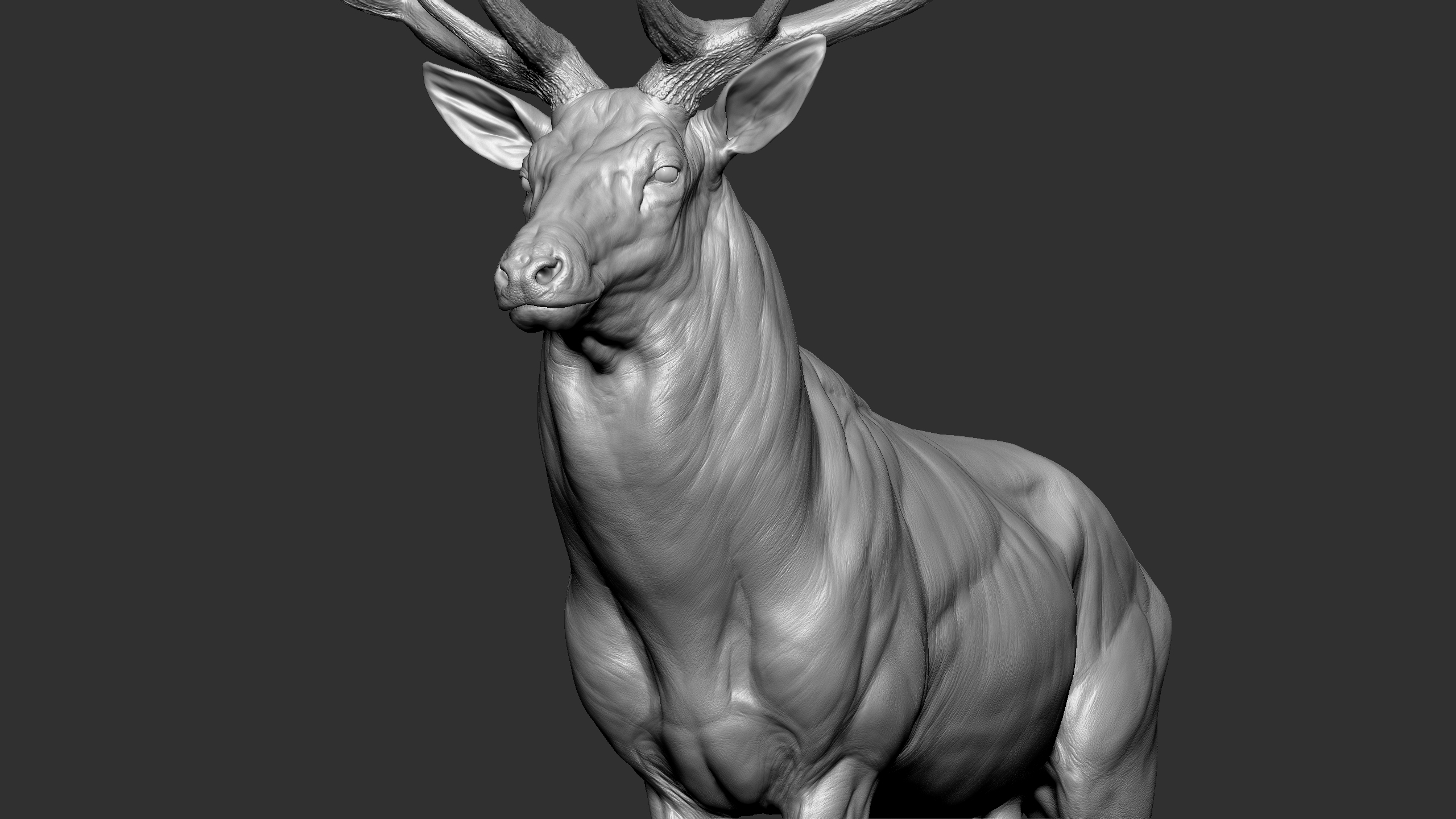 3D Reed Deer Stag VFX Zbrush Sculpture Digitale model - TurboSquid 1875254