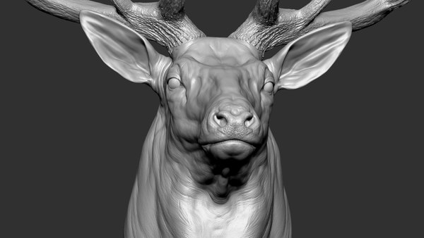3D Reed Deer Stag VFX Zbrush Sculpture Digitale model - TurboSquid 1875254