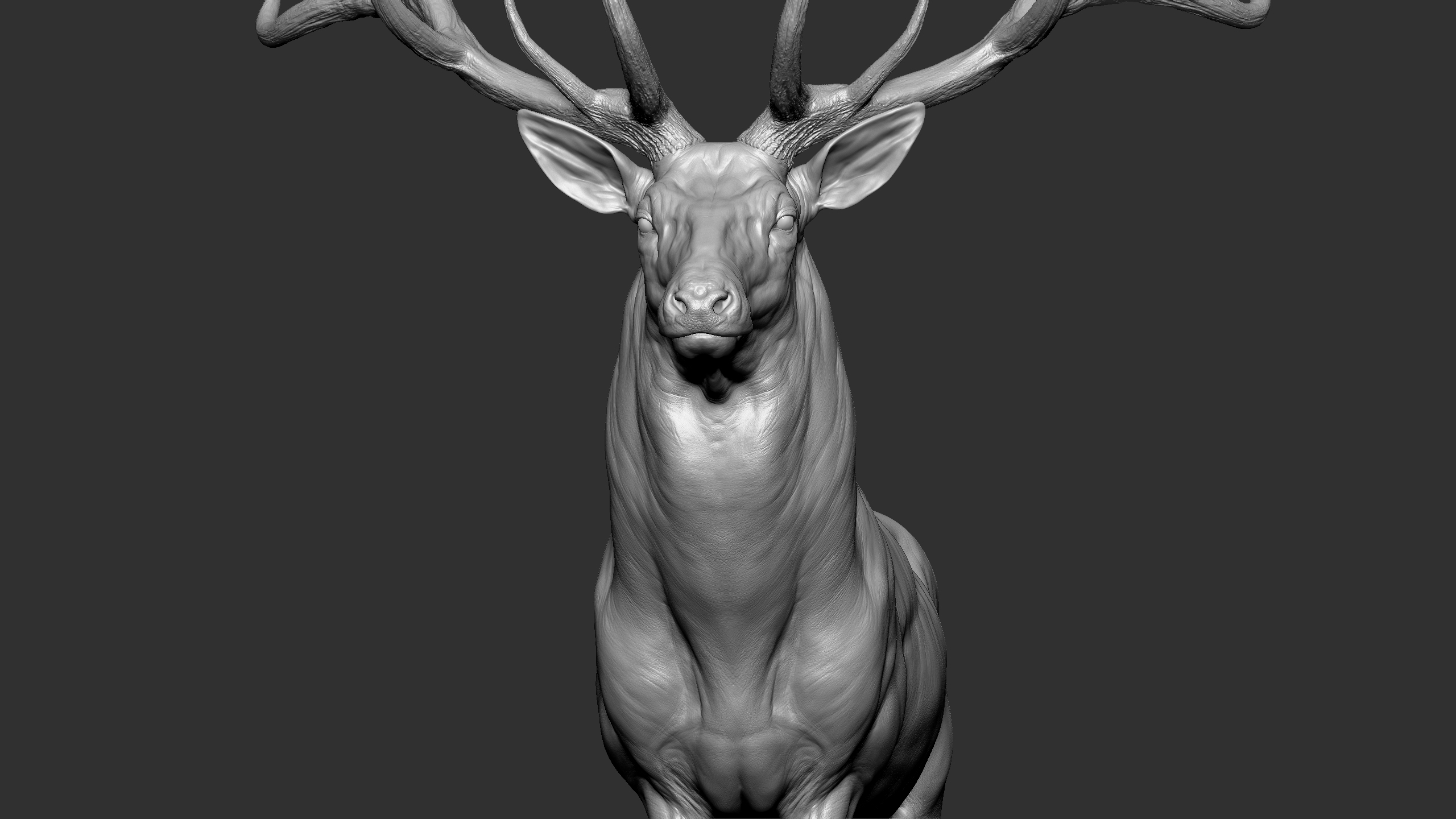 3D Reed Deer Stag VFX Zbrush Sculpture Digitale model - TurboSquid 1875254