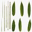 3D Anydrafts Sasa Pygmaea Leaf 04 Textures - TurboSquid 2345485