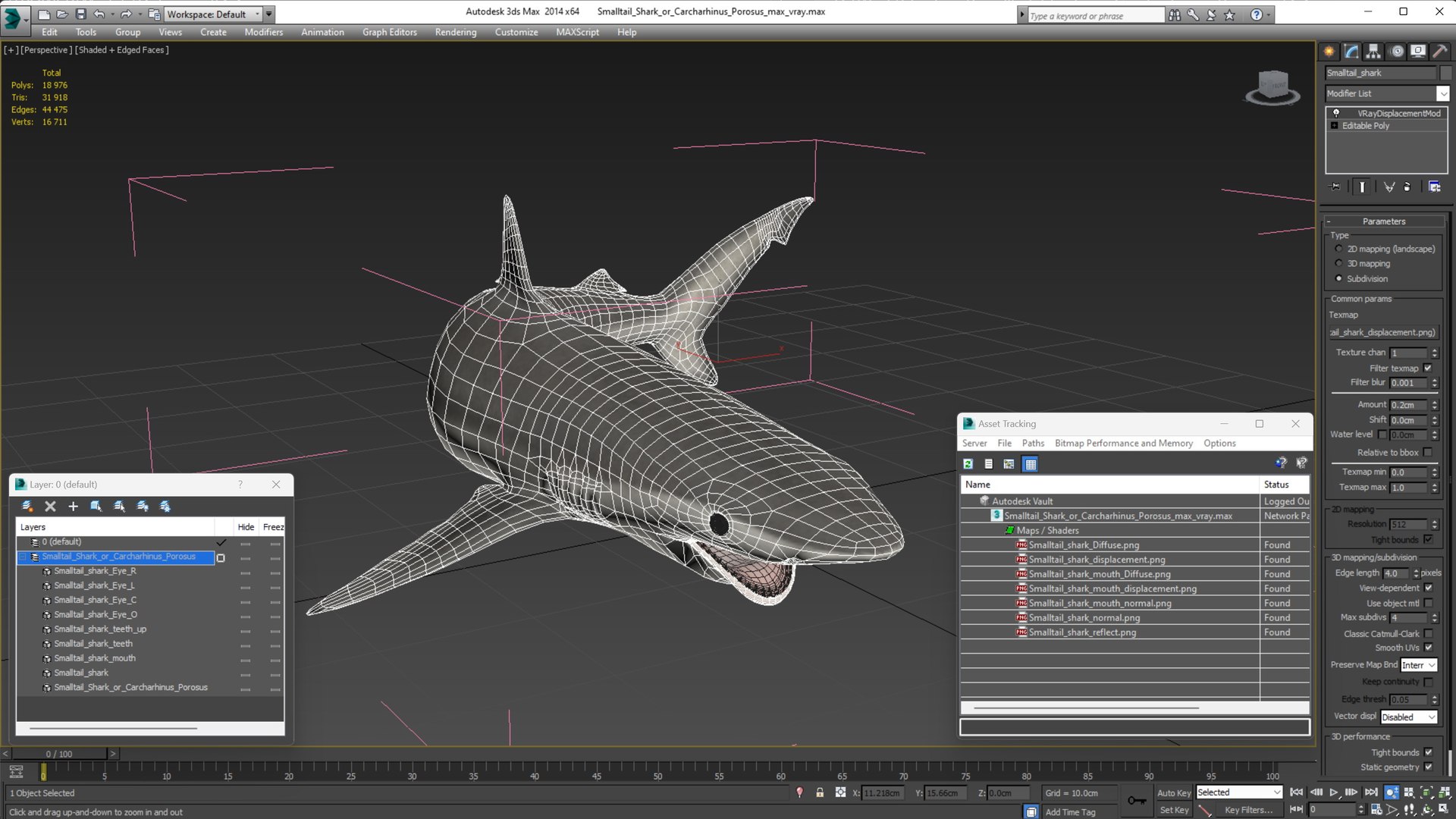 3D Smalltail Shark Or Carcharhinus Porosus - TurboSquid 2270524