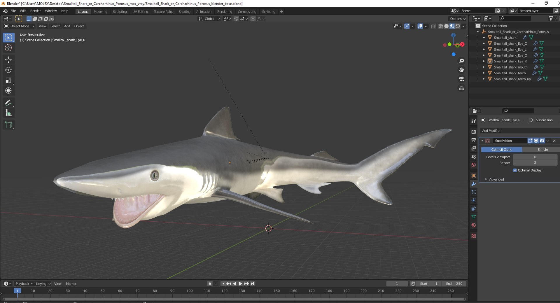 3D Smalltail Shark Or Carcharhinus Porosus - TurboSquid 2270524