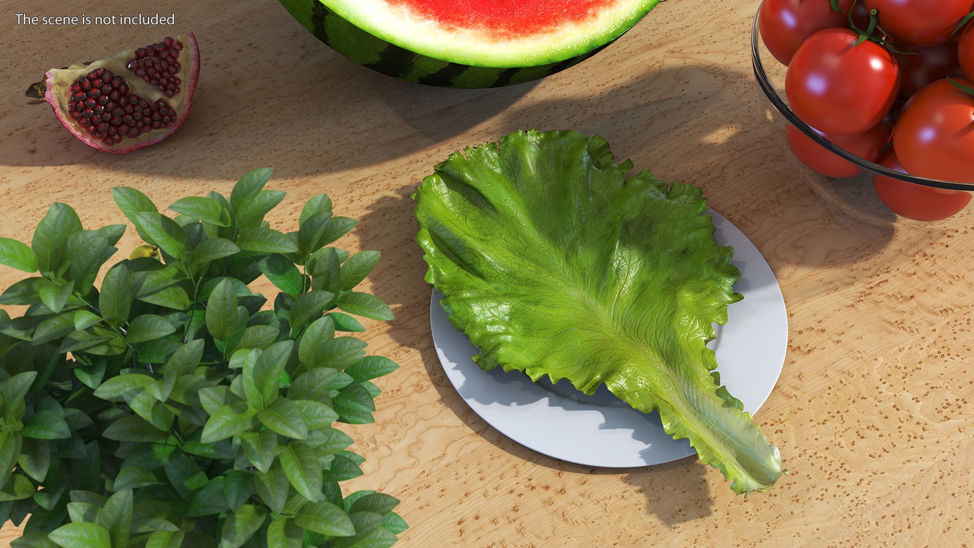Realistic Lettuce Leaf 3D Model - TurboSquid 2206389