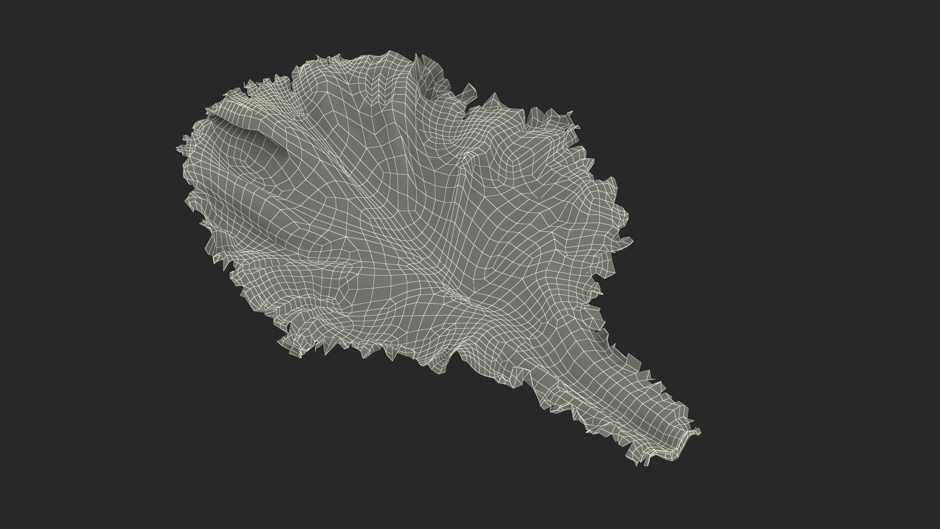 Realistic Lettuce Leaf 3D Model - TurboSquid 2206389