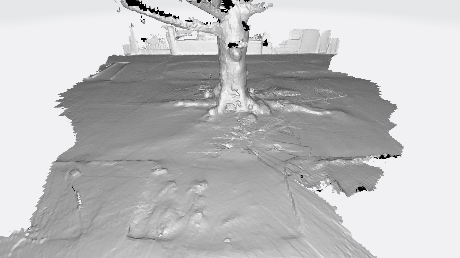 3D Tree Shadows Model - TurboSquid 1967890