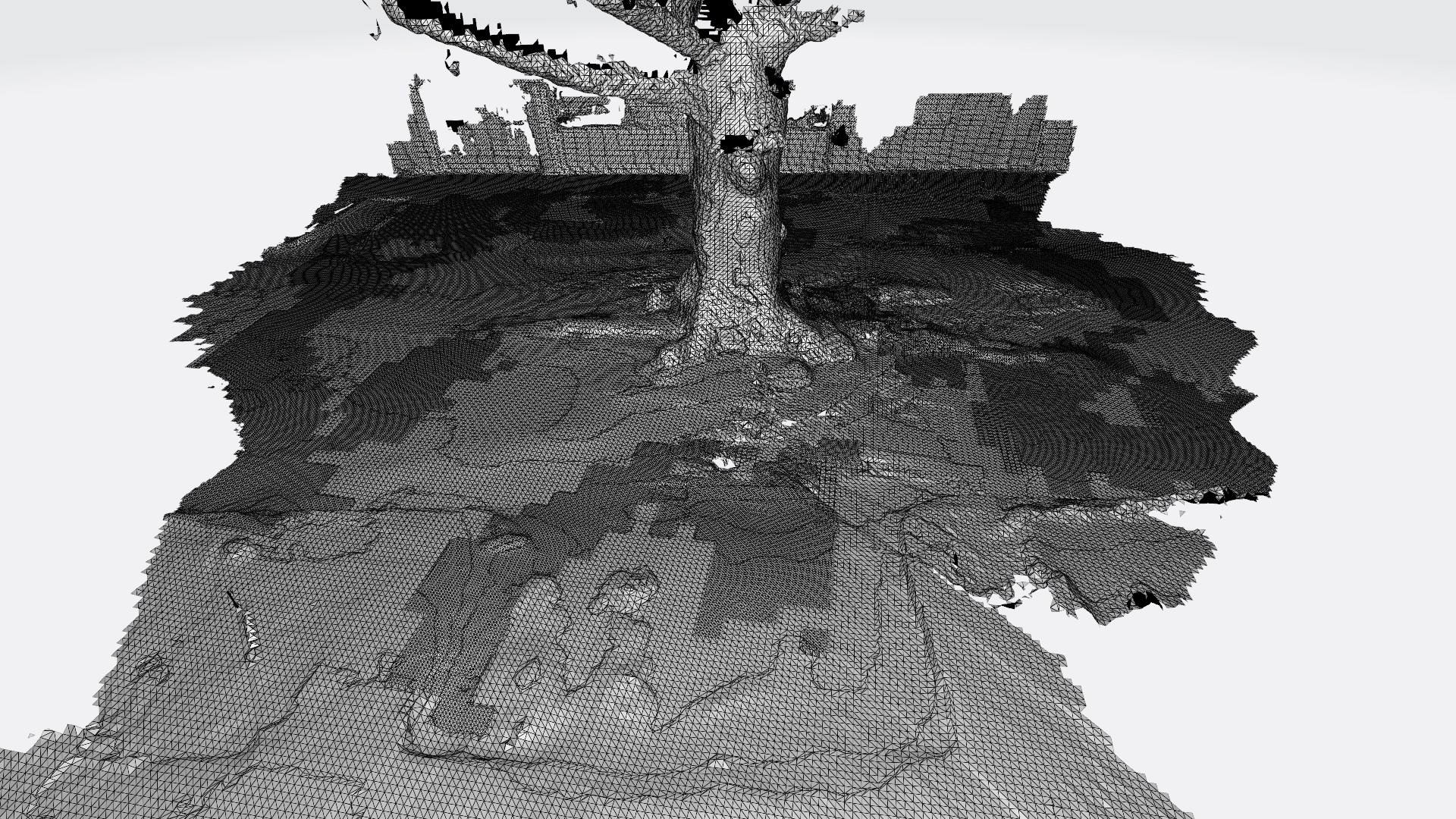 3D Tree Shadows Model - TurboSquid 1967890