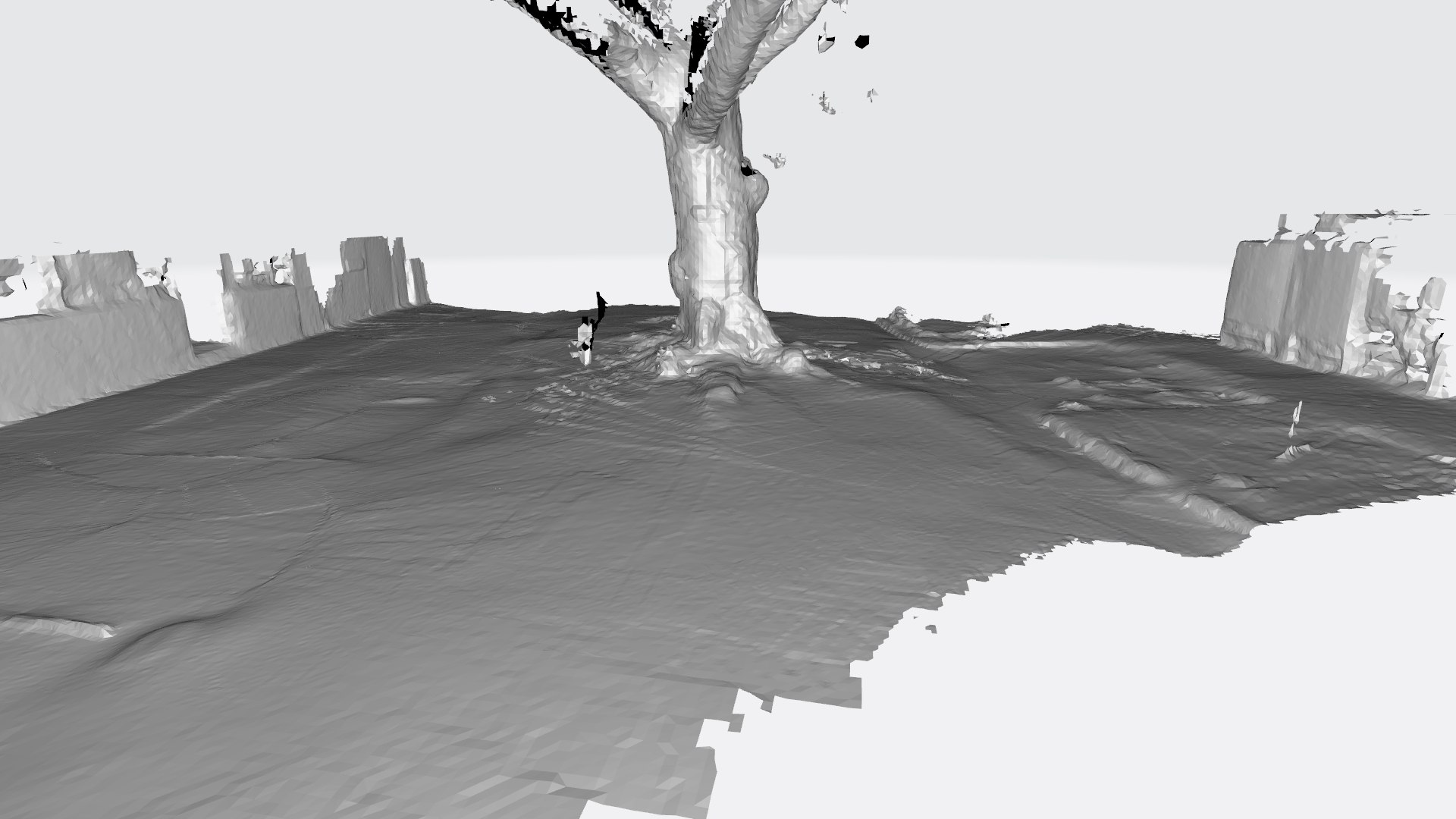 3D Tree Shadows Model - TurboSquid 1967890