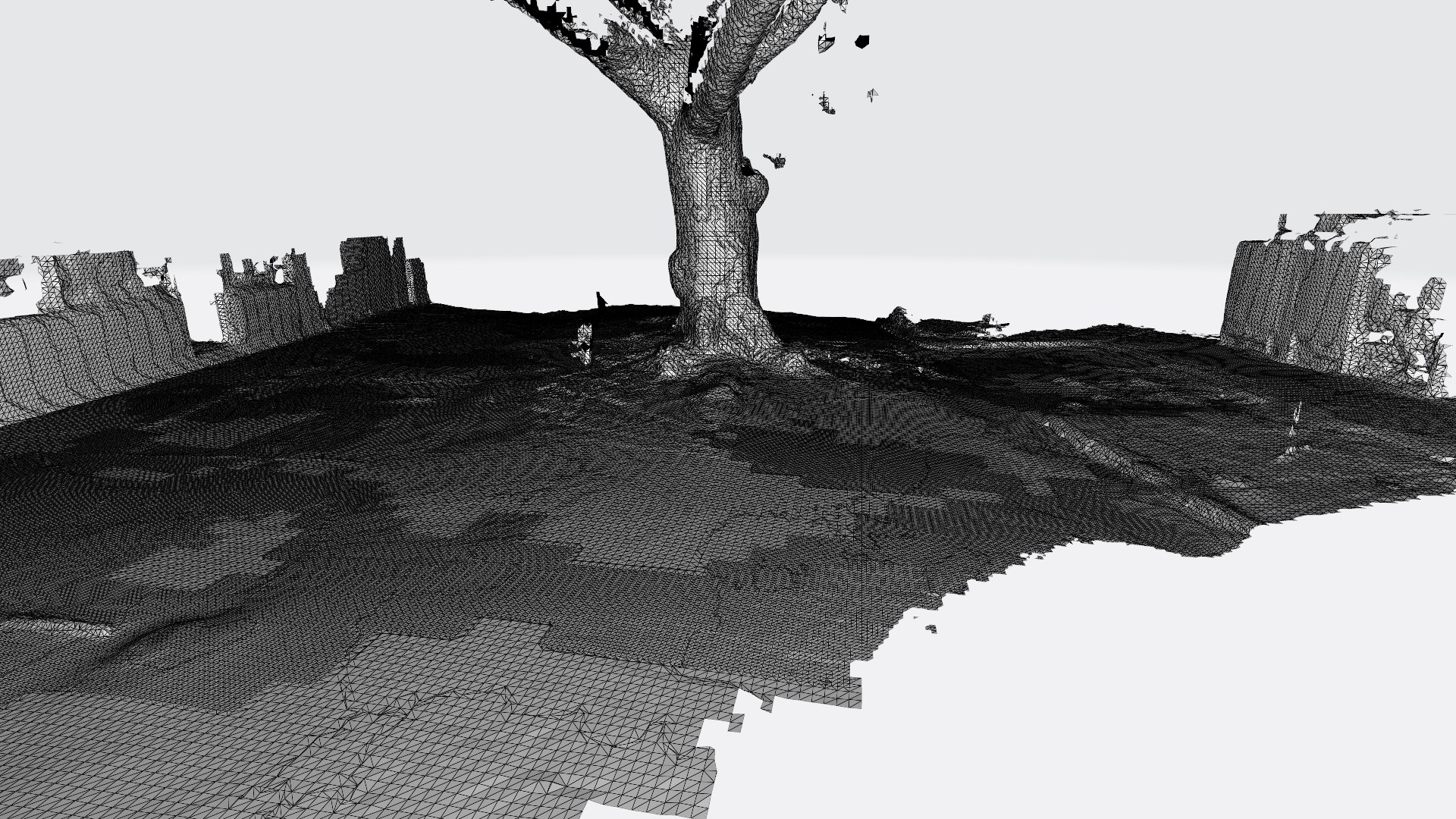 3D Tree Shadows Model - TurboSquid 1967890