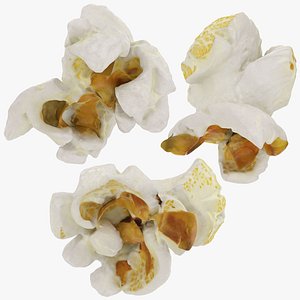 3D Popcorn Models - Browse & Download Formats - TurboSquid
