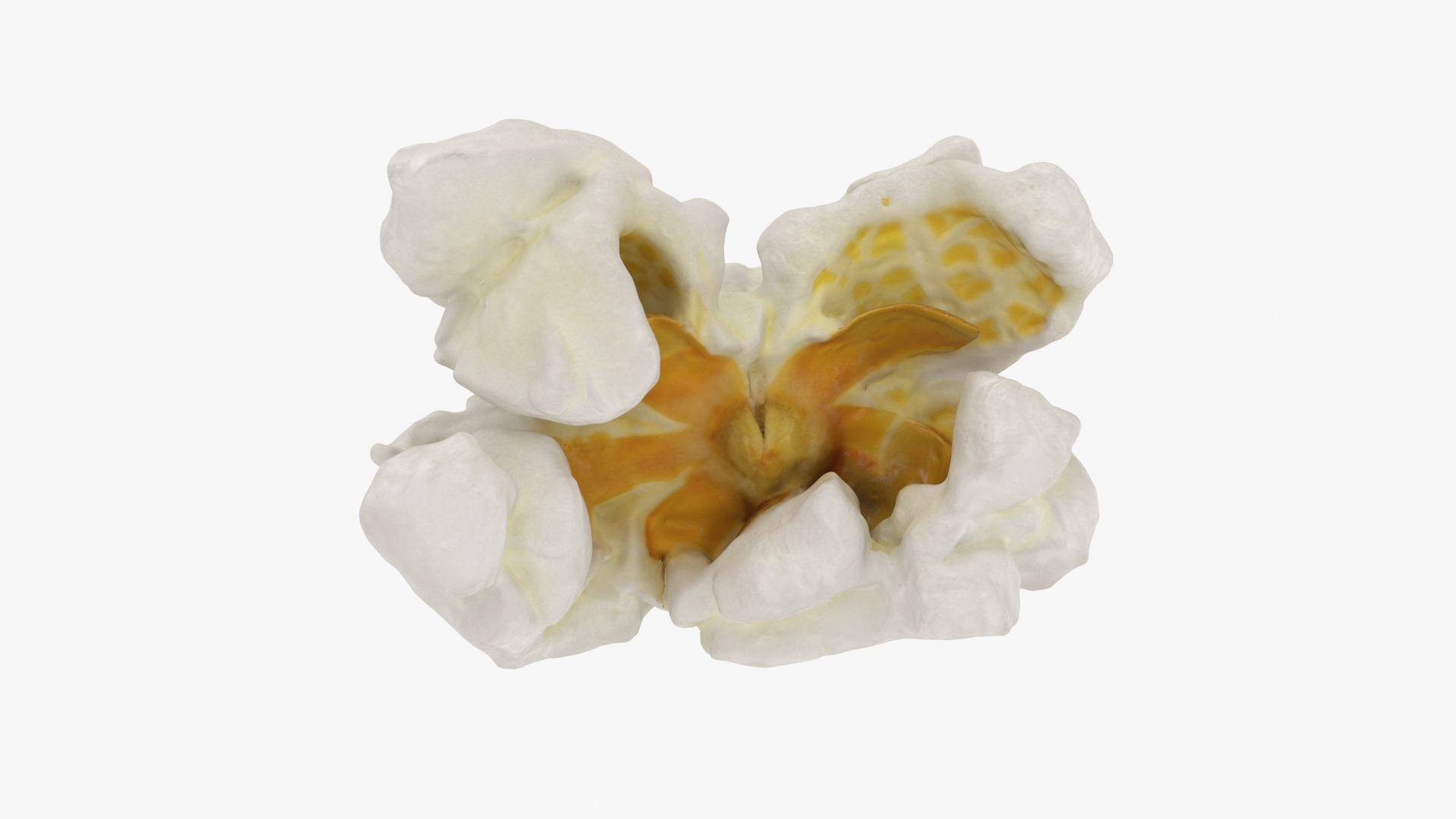 Popcorn Collection Model - TurboSquid 2258651