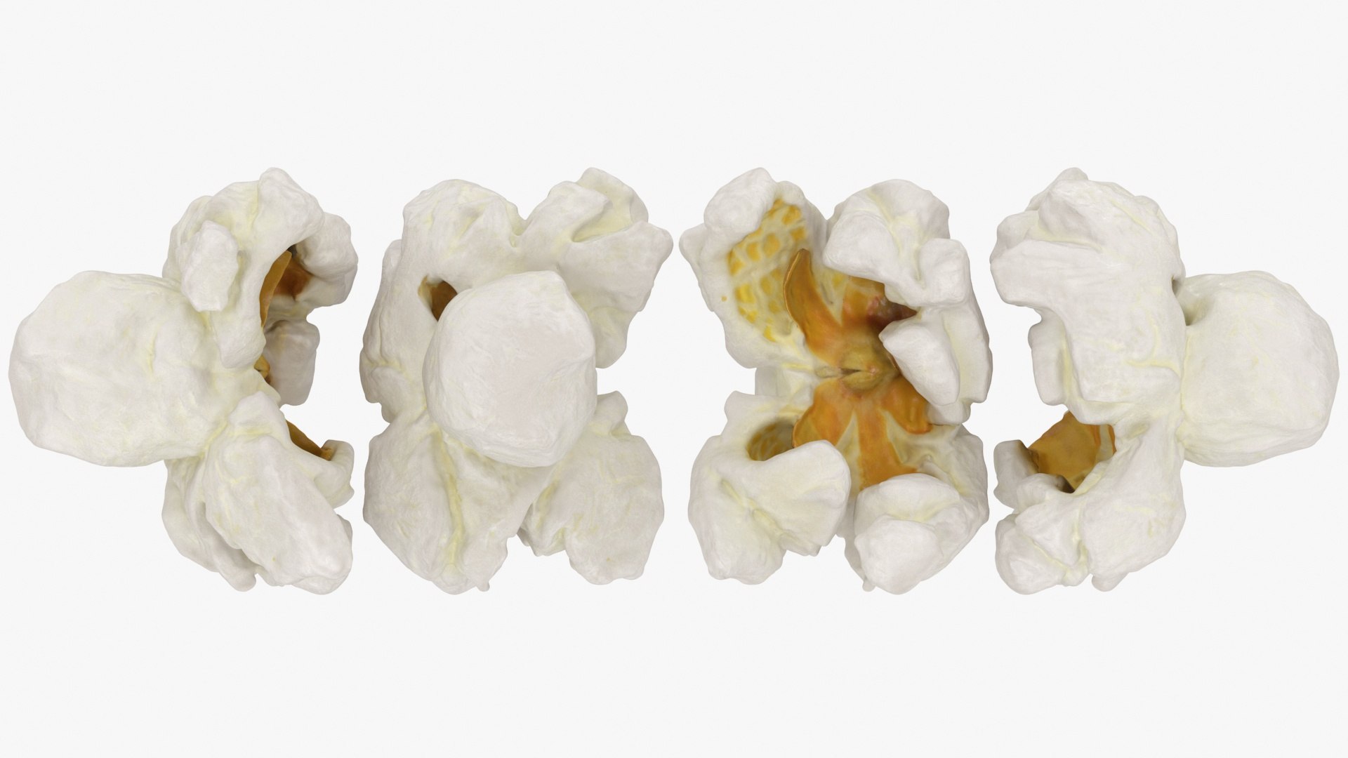 Popcorn Collection Model - TurboSquid 2258651