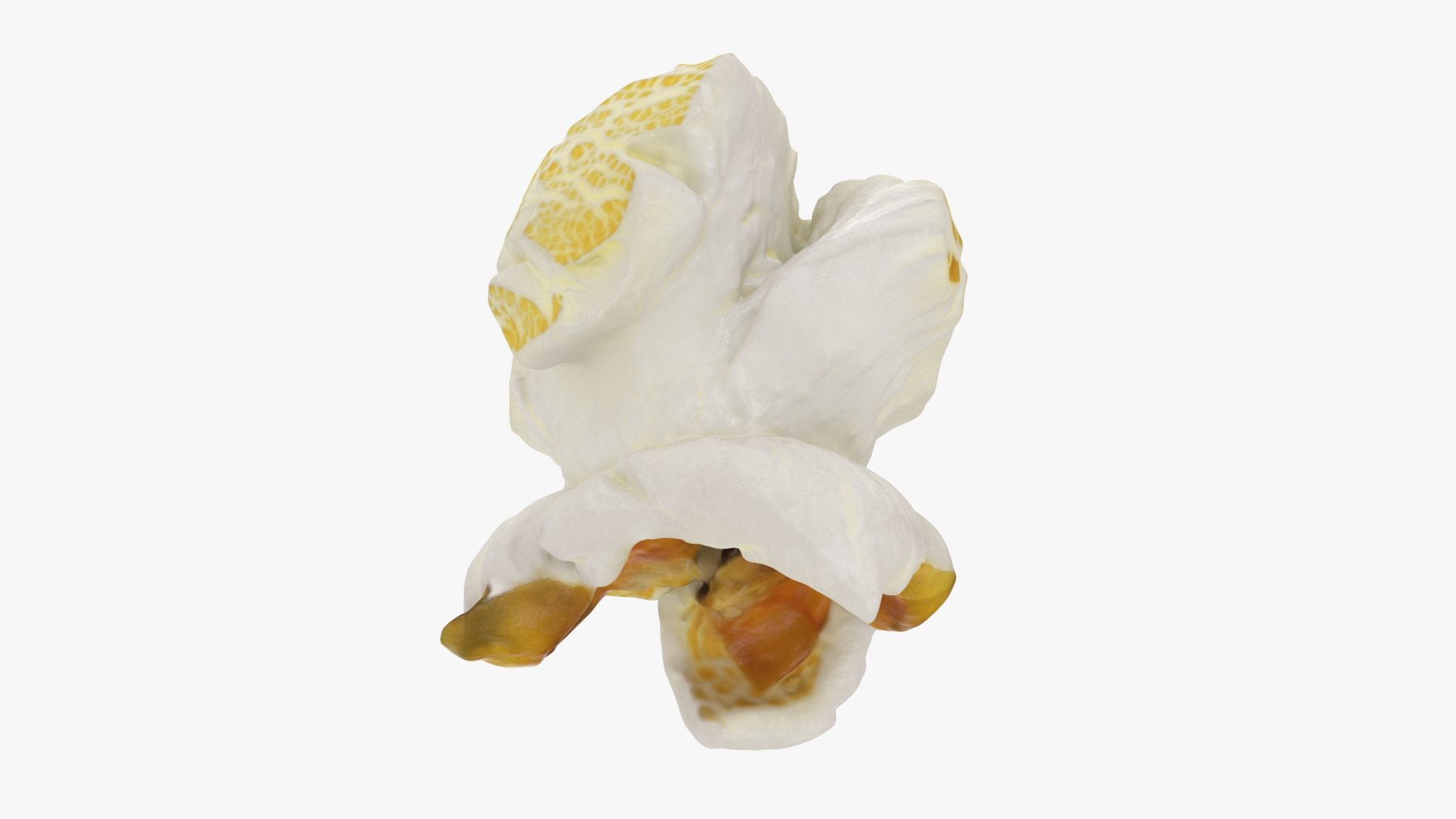 Popcorn Collection Model - TurboSquid 2258651