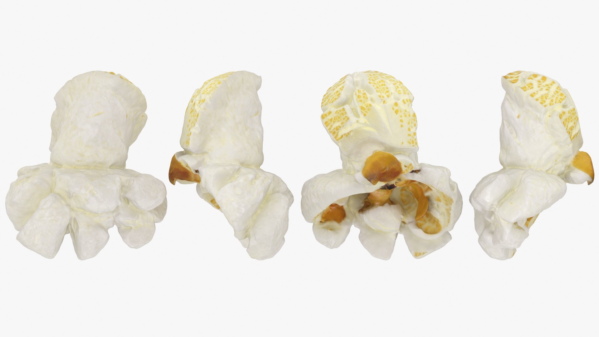 Popcorn Collection Model - TurboSquid 2258651