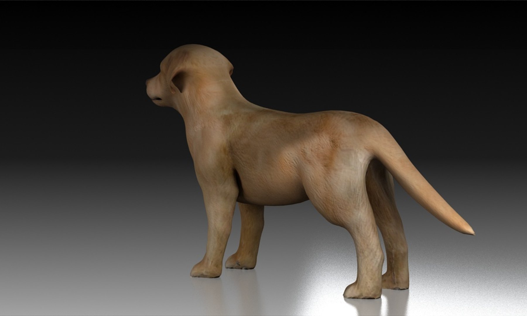 3D Model - TurboSquid 1617954