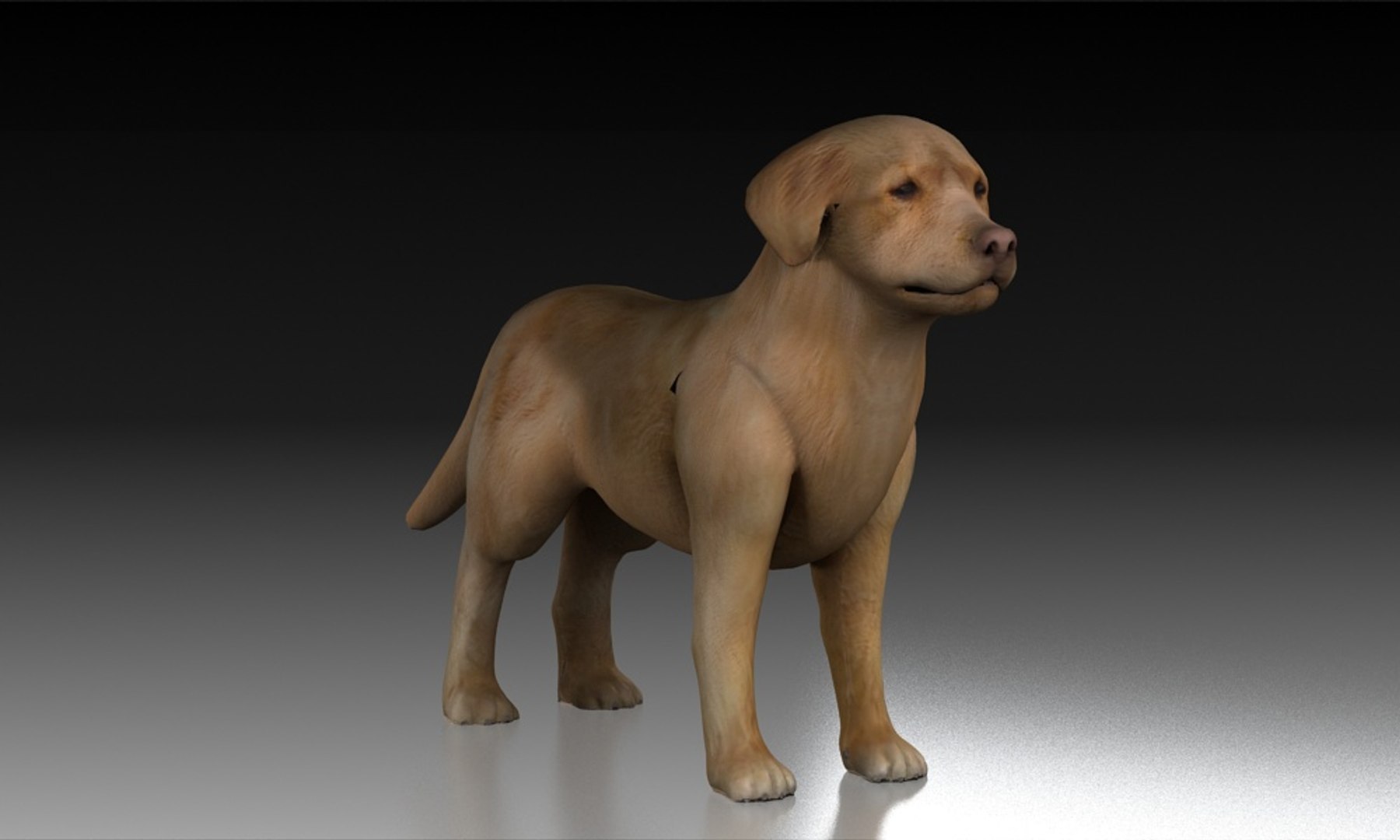 3D Model - TurboSquid 1617954