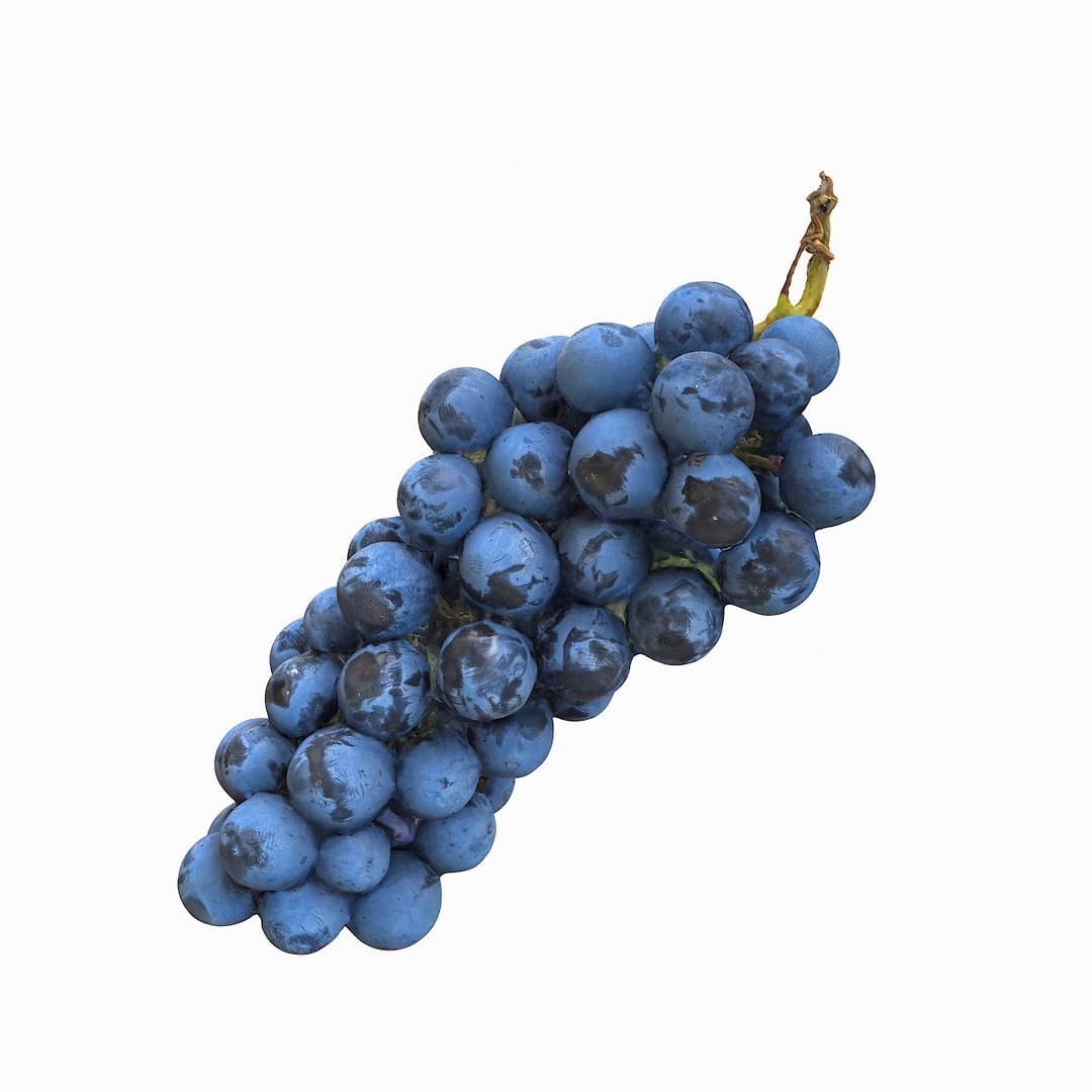 Scan Grape Realistic Max