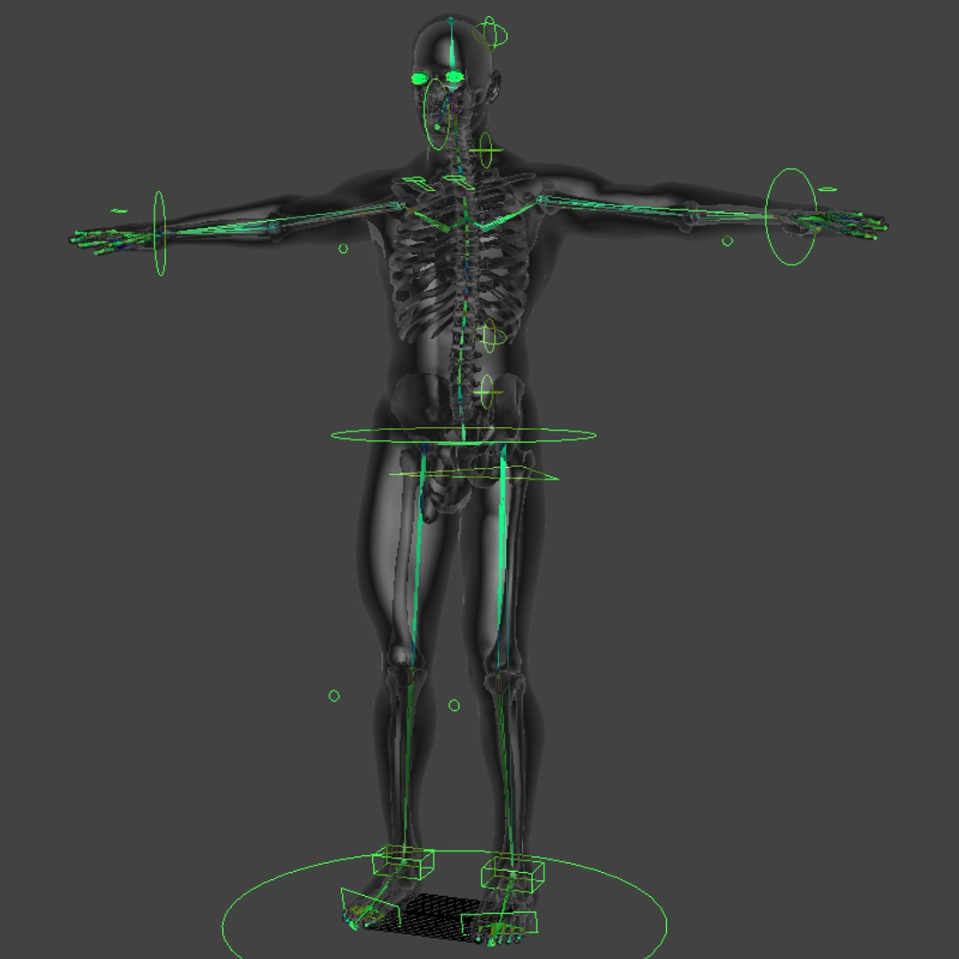 Maya Rigged Human Male Body
