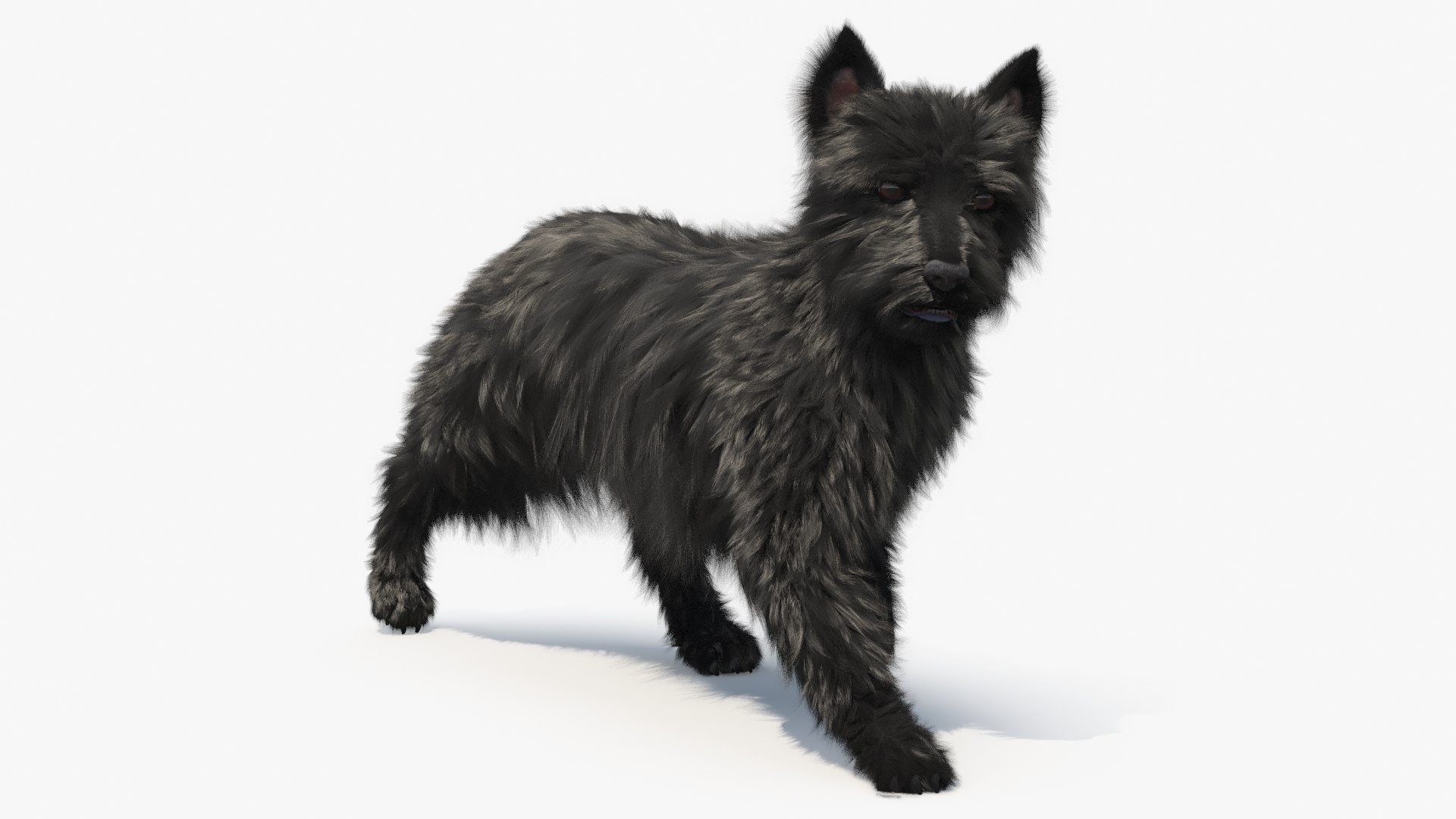 Mongrel Dog Dark Fur Rigged 3D - TurboSquid 2413799
