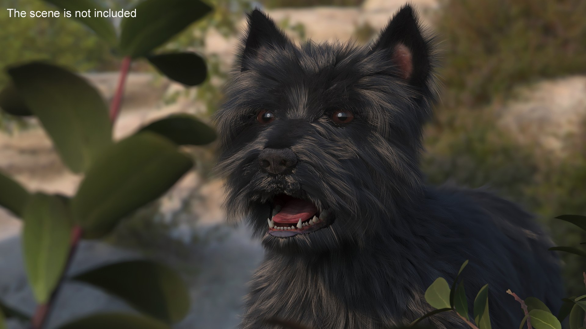 Mongrel Dog Dark Fur Rigged 3D - TurboSquid 2413799