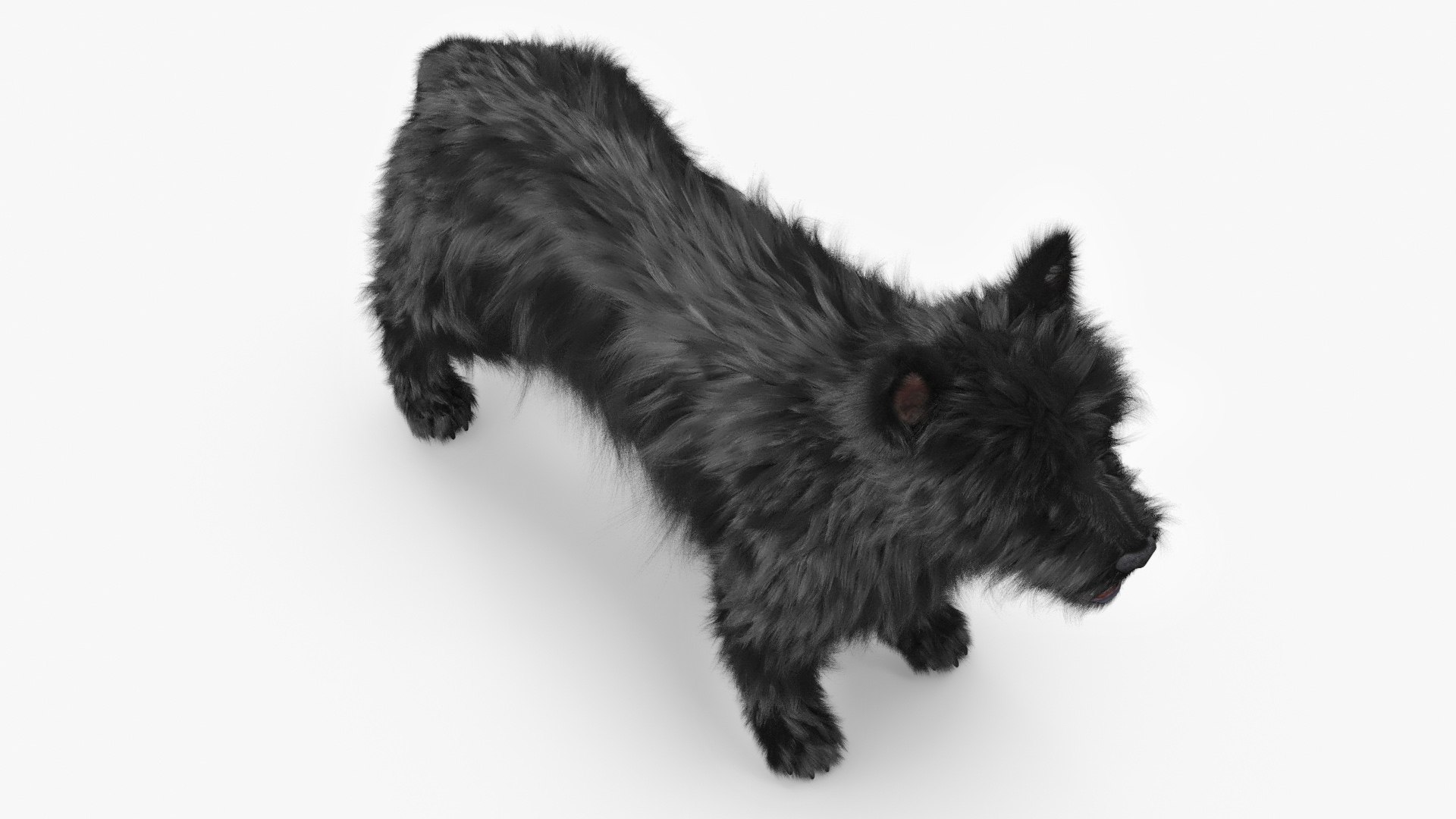 Mongrel Dog Dark Fur Rigged 3D - TurboSquid 2413799