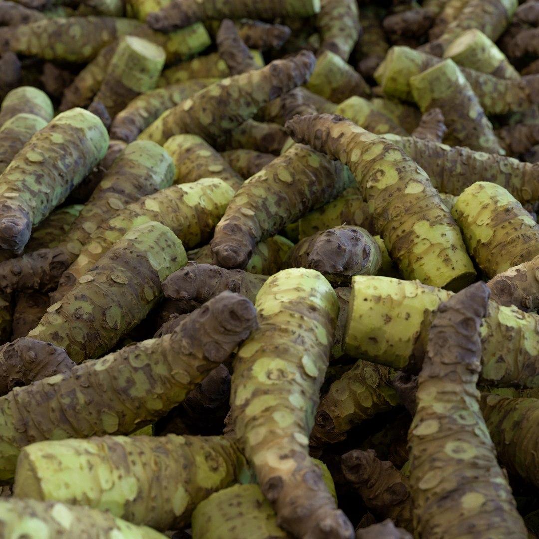 Sharkskin Wasabi Grater Set - Japanese Horseradish 3D Model ...