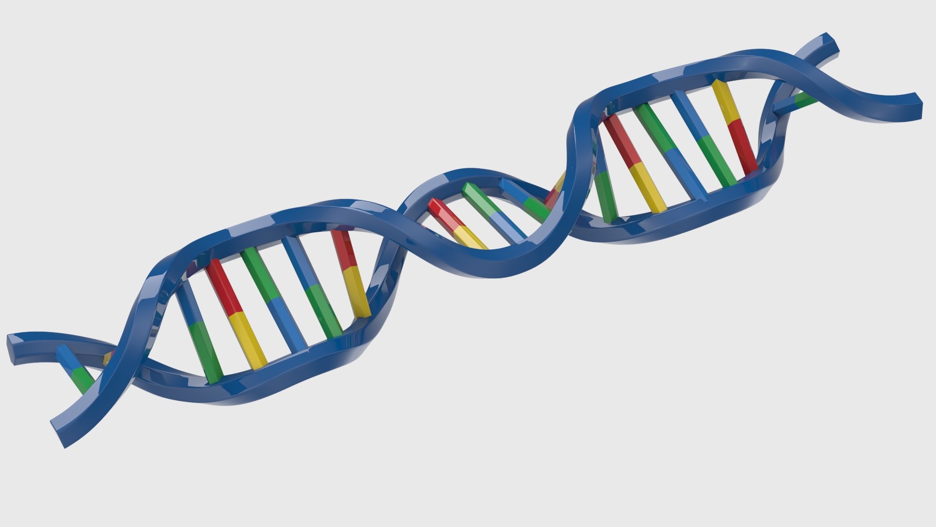 3D Structure Of DNA Model - TurboSquid 2432613