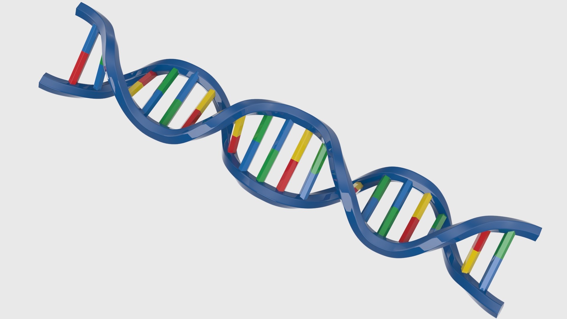 3D Structure Of DNA Model - TurboSquid 2432613