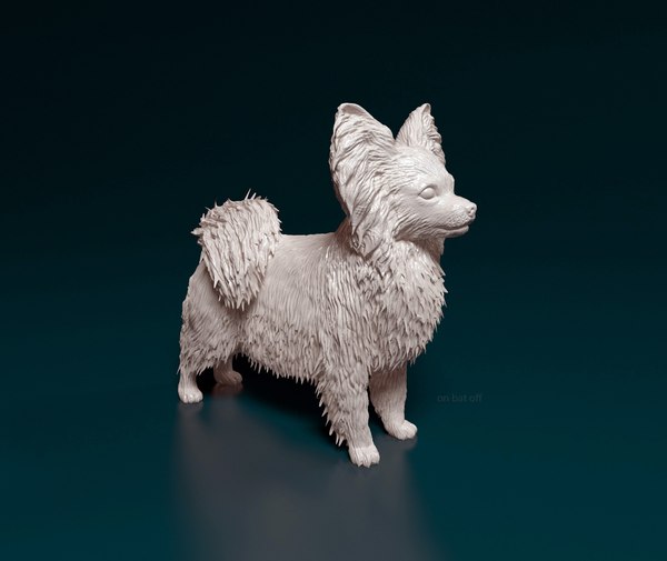 3D Papillon Models | TurboSquid