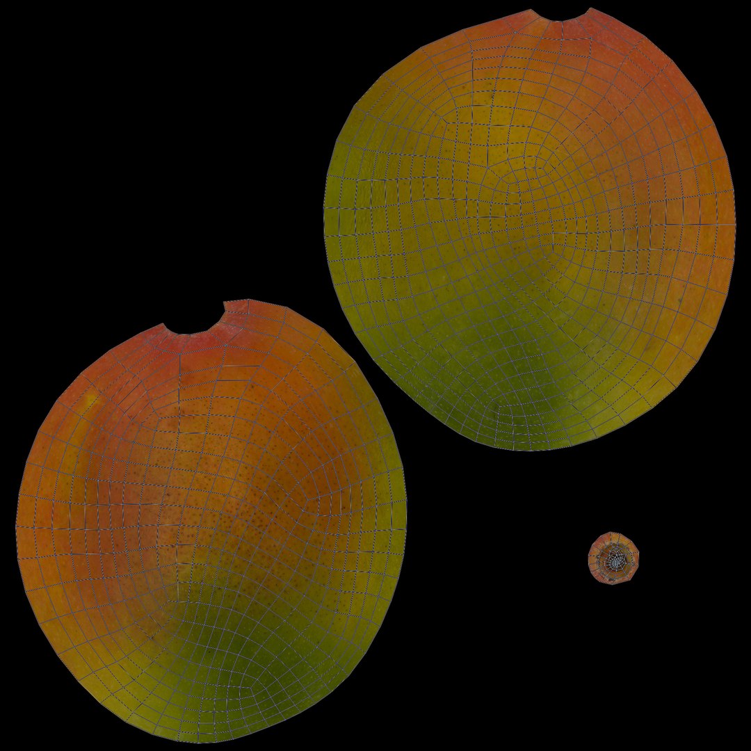 3D Model Mango Fruit 3D Model AR VR PBR - TurboSquid 1996482