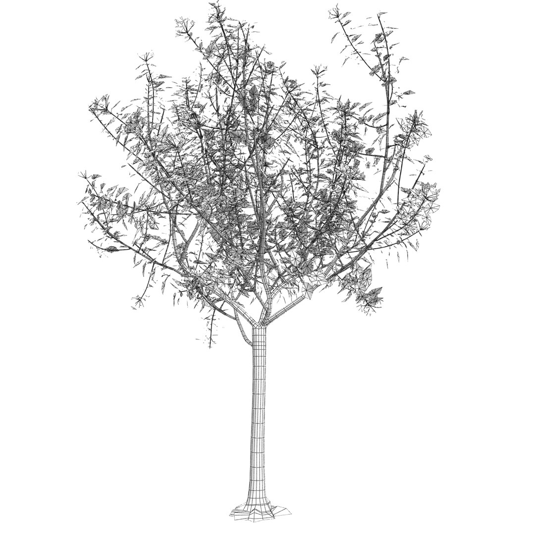 3D tree nature - TurboSquid 1281138