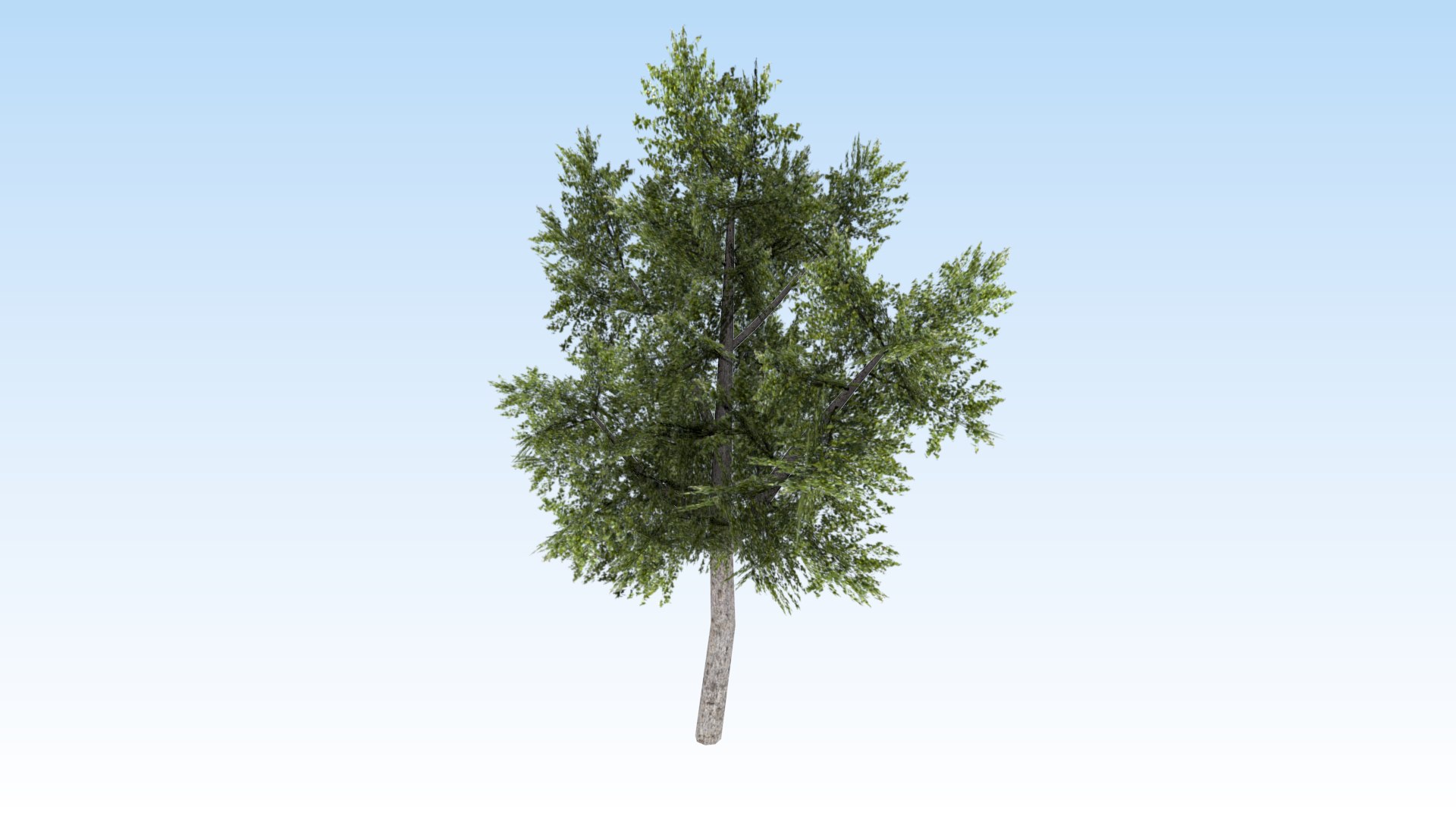 Trees Pack 3D Model - TurboSquid 1360024