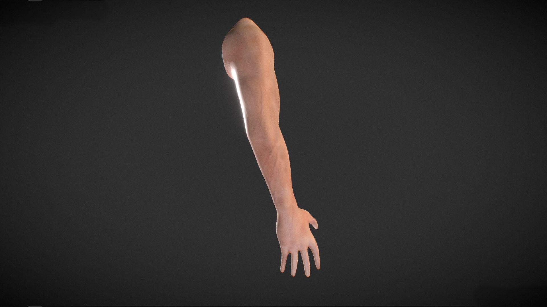 Human Male Arm - Base Mesh 3D Model - TurboSquid 1843582