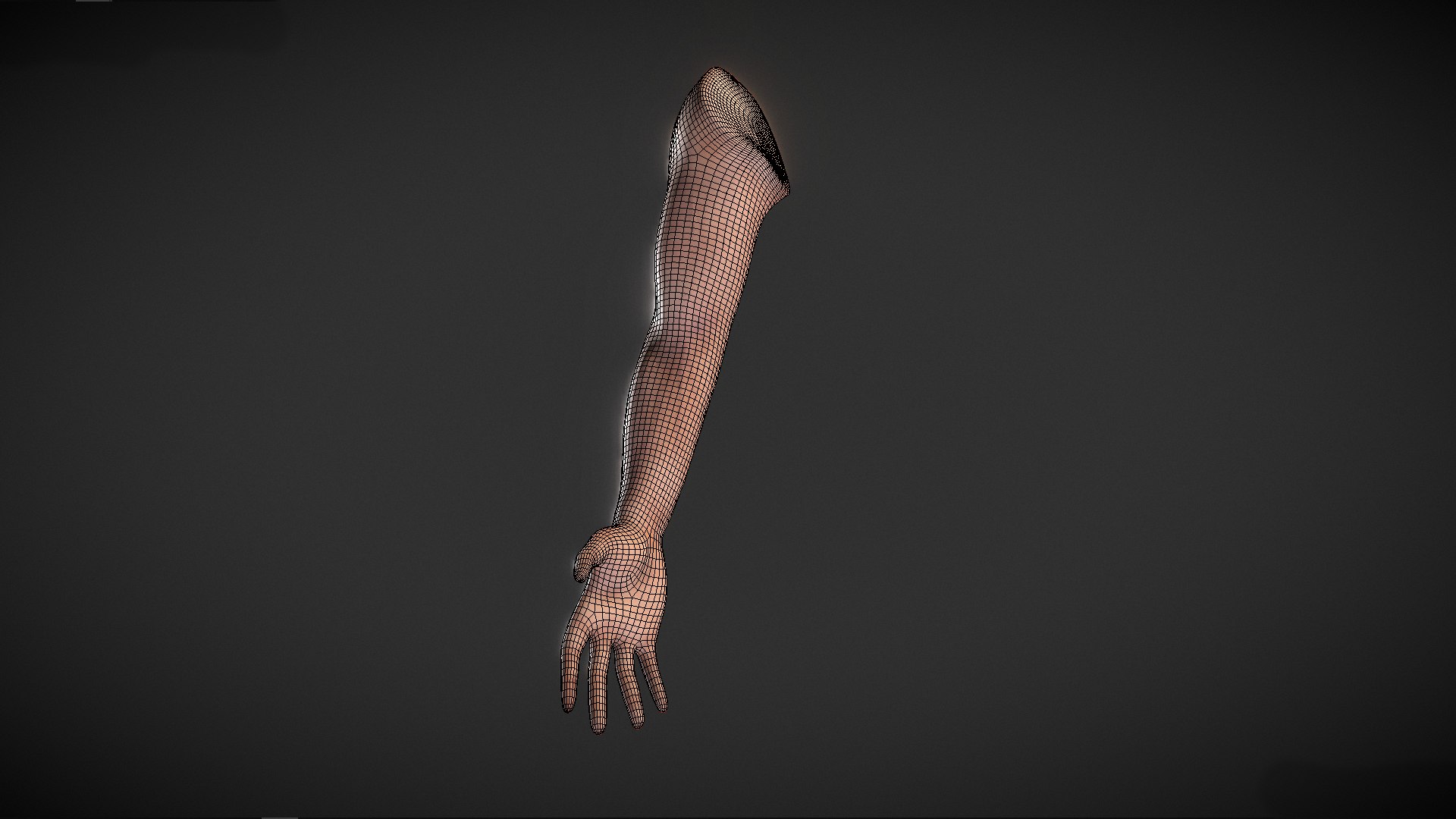 Human Male Arm - Base Mesh 3D Model - TurboSquid 1843582