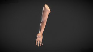 3D Female Arm Base Mesh - TurboSquid 1843580