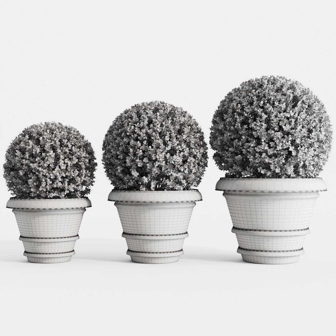 Boxwood Clay Pots Bushes 3D - TurboSquid 1548030