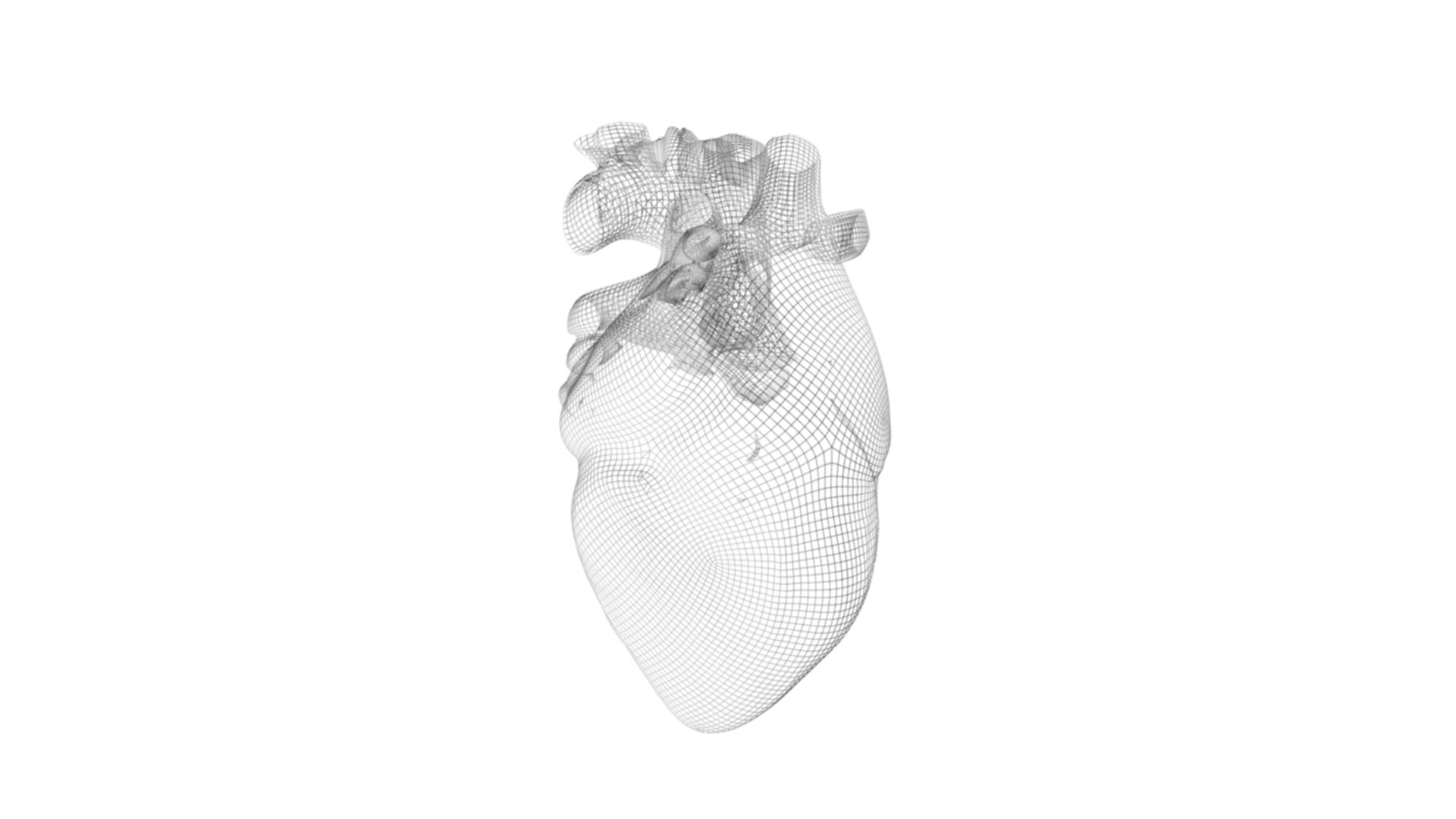 3D Realistic Heart Model 3D Model - TurboSquid 2318638