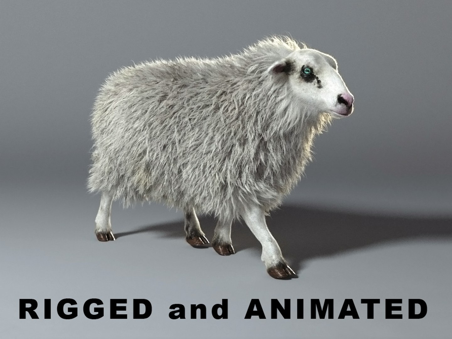 Max - Rigged Animation