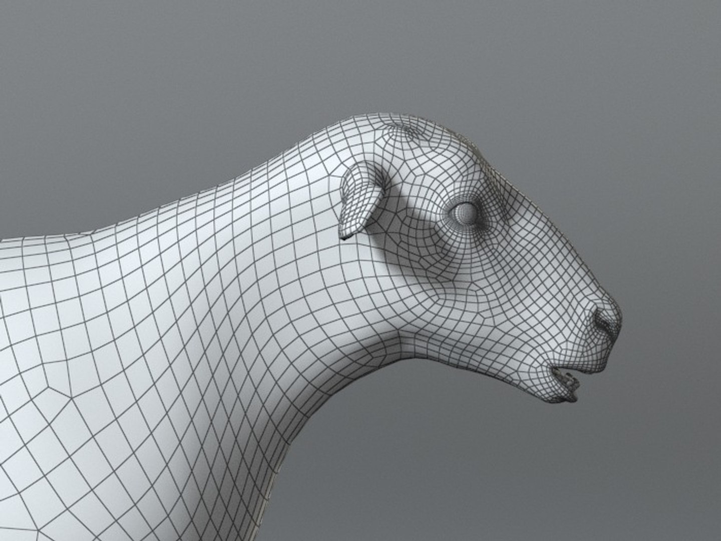 Max - Rigged Animation