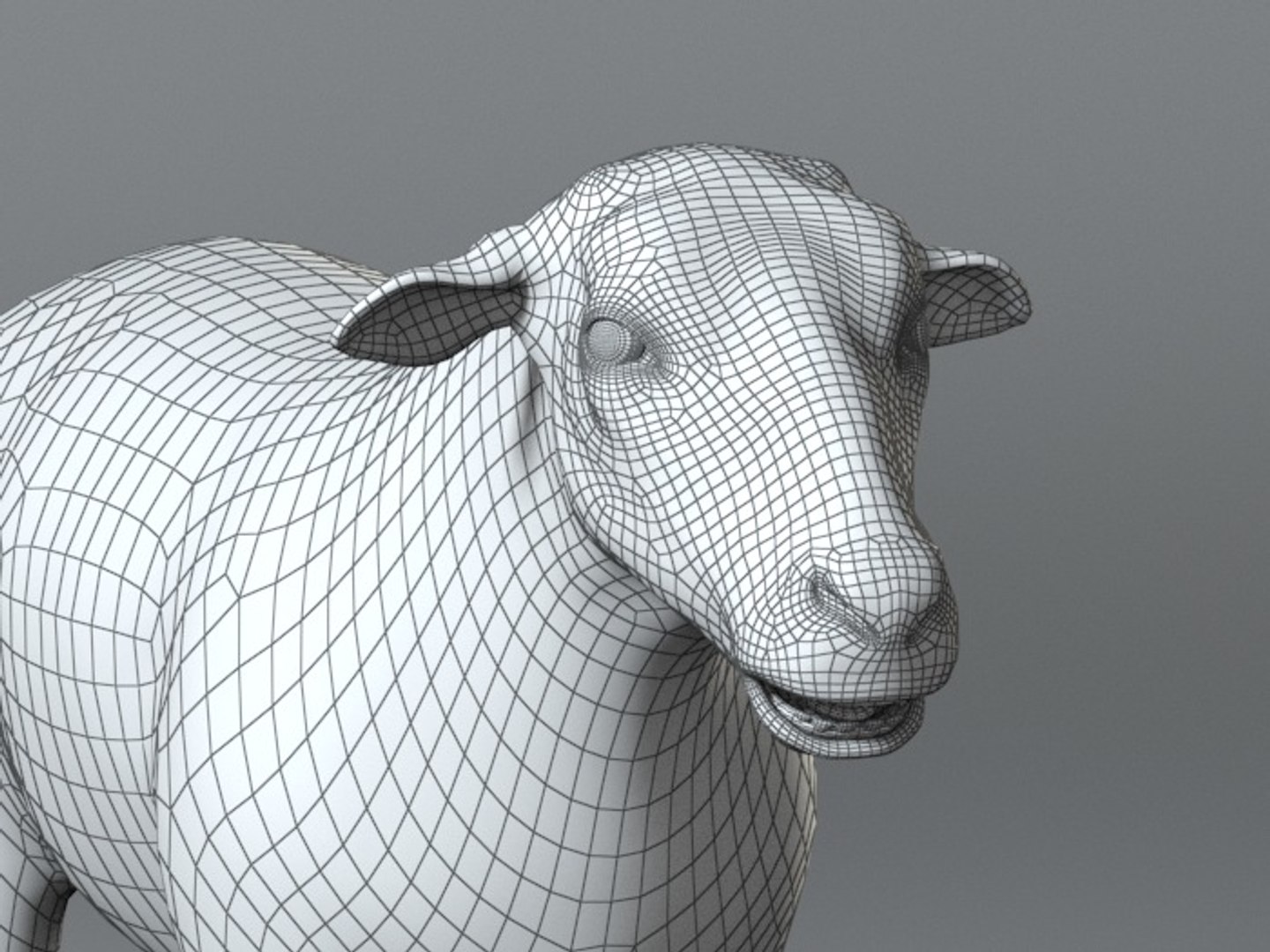 Max - Rigged Animation