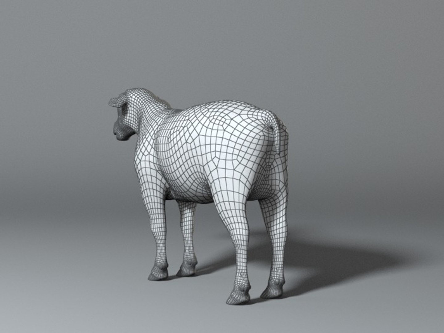 Max - Rigged Animation
