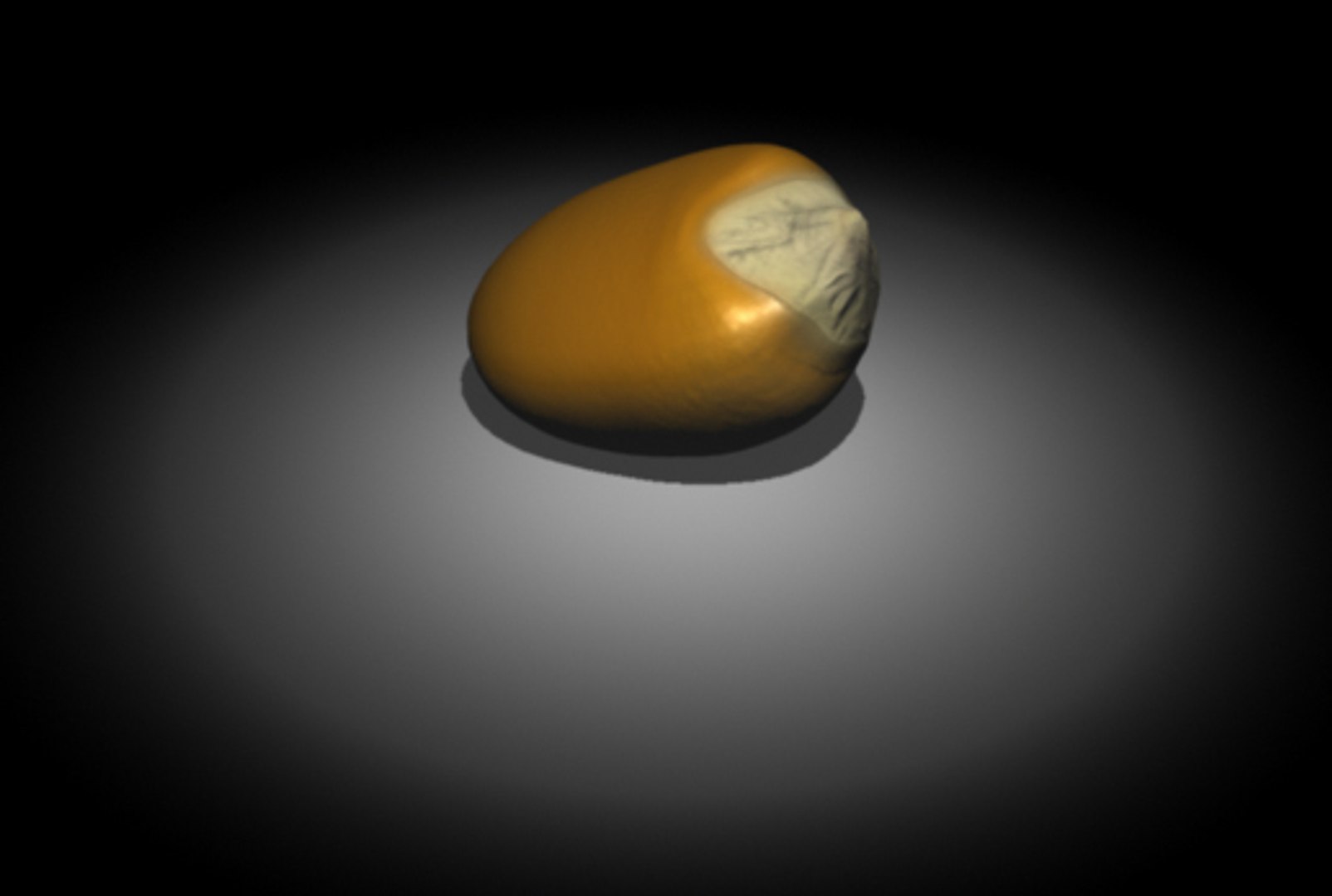 Pop Corn Kernel 3d Model