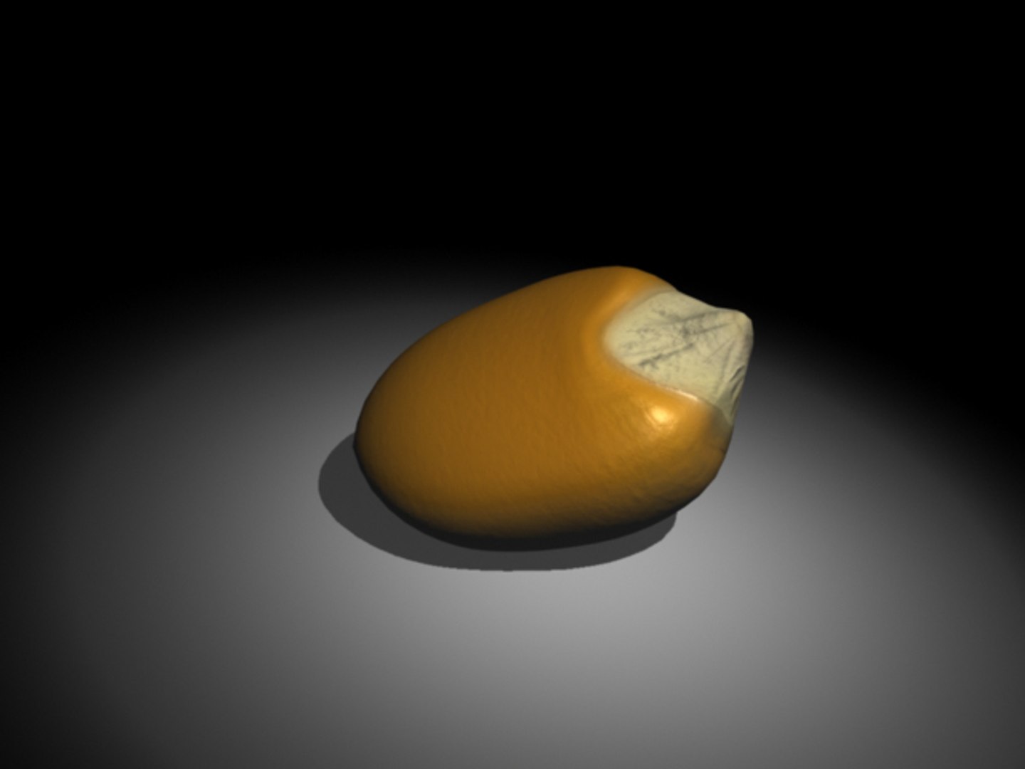 Pop Corn Kernel 3d Model